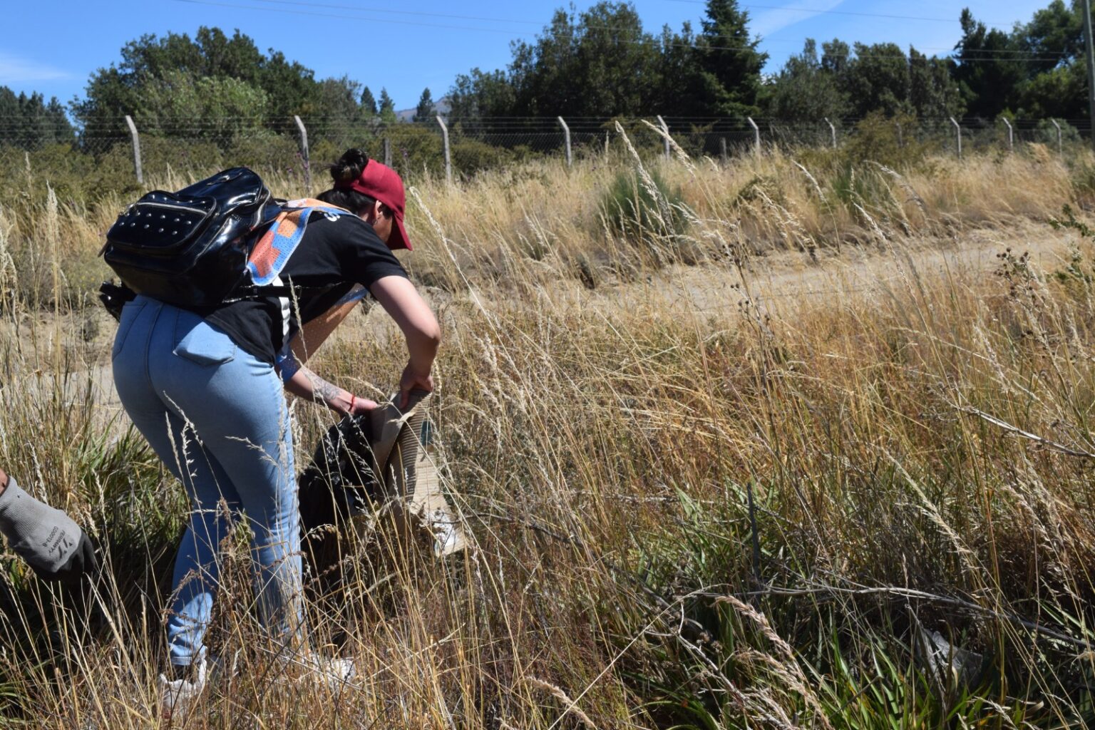 El Paseo del Este transformó su imagen en una jornada de compromiso ...
